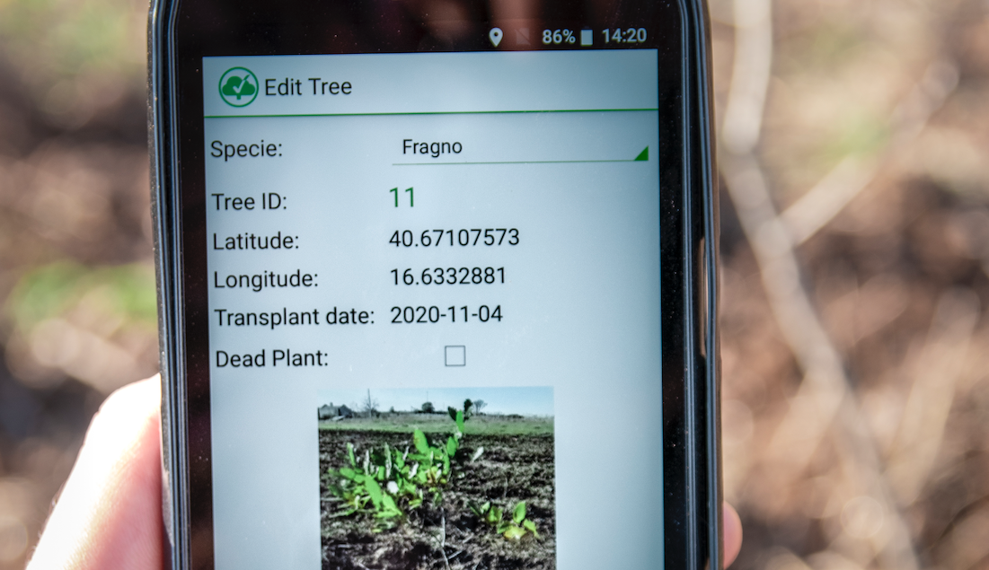 Photographing and geotagging trees: how we work