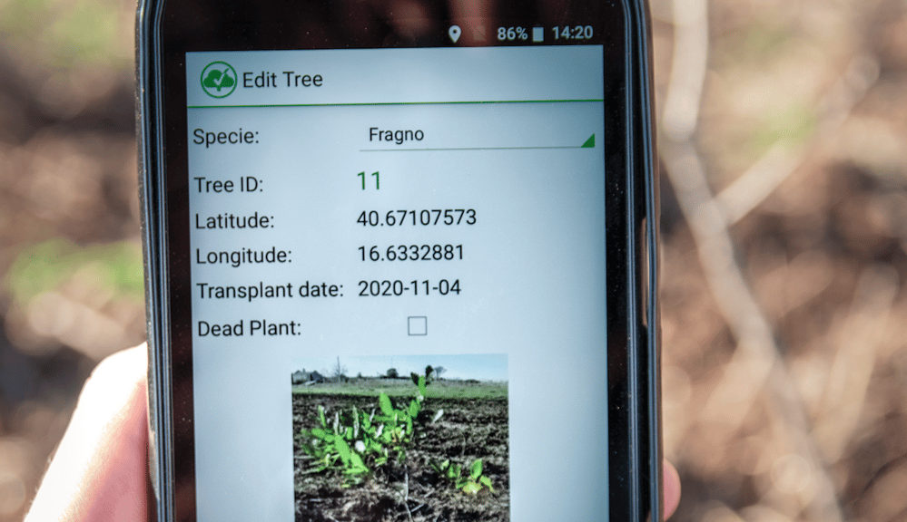 Photographing and geotagging trees: how we work