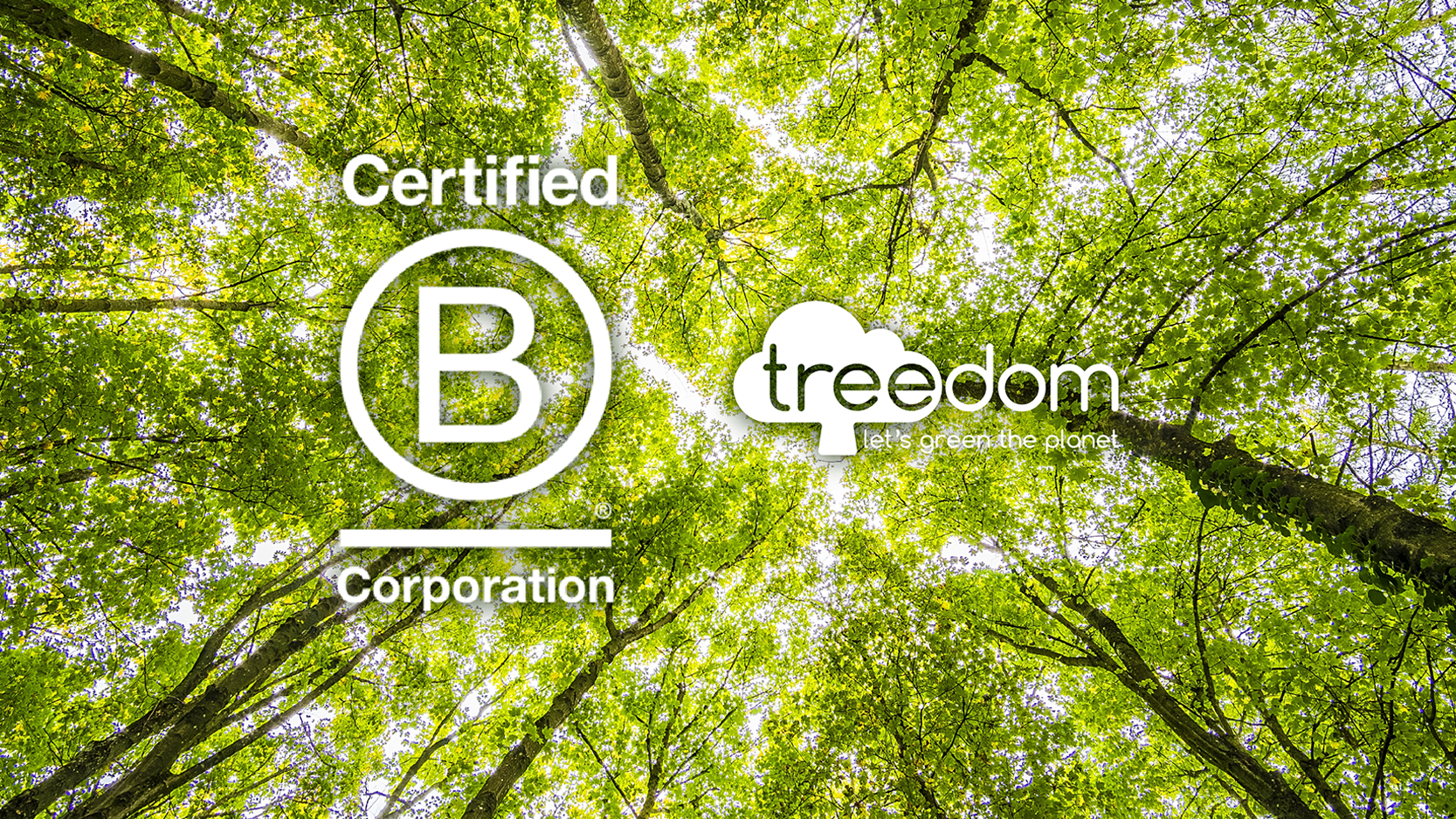 Treedom: 10 anni come B Corp