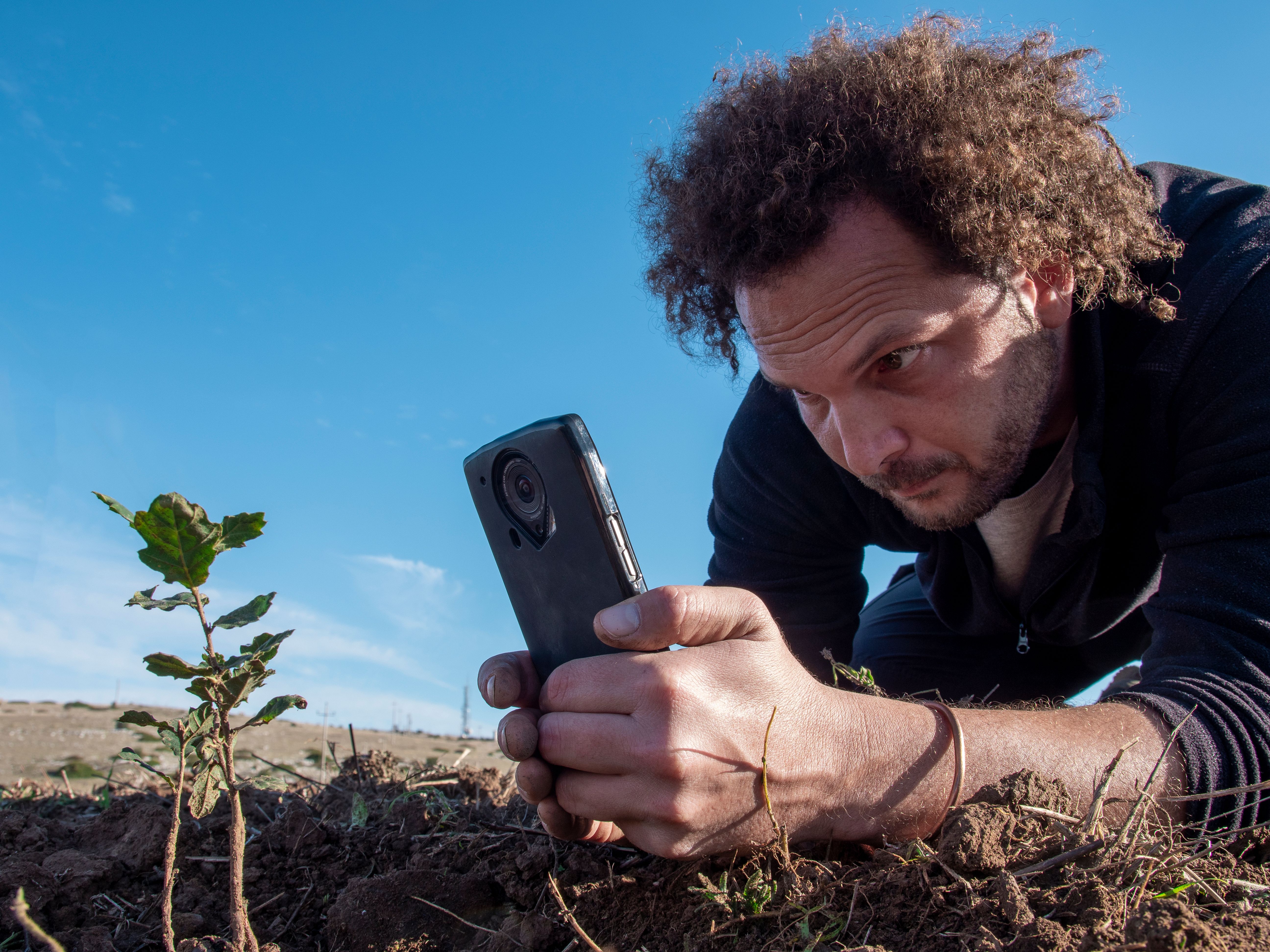 Photographing and geotagging trees: how we work