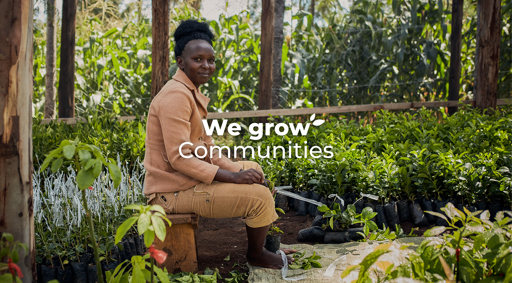 We grow trees and communities