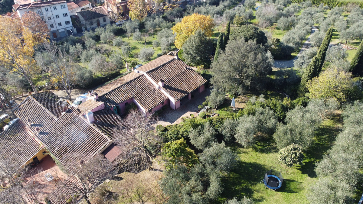 Treedom Impact Report 2021 - in 5 points