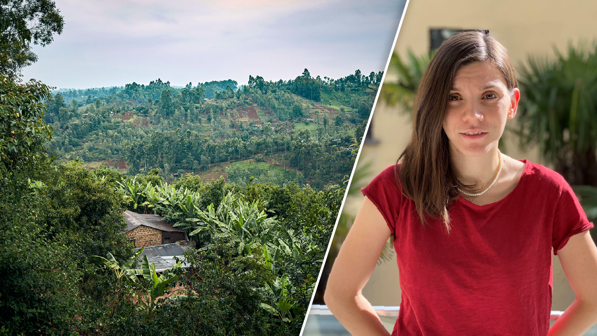 Why Timberland chose Treedom to plant 30,000 trees