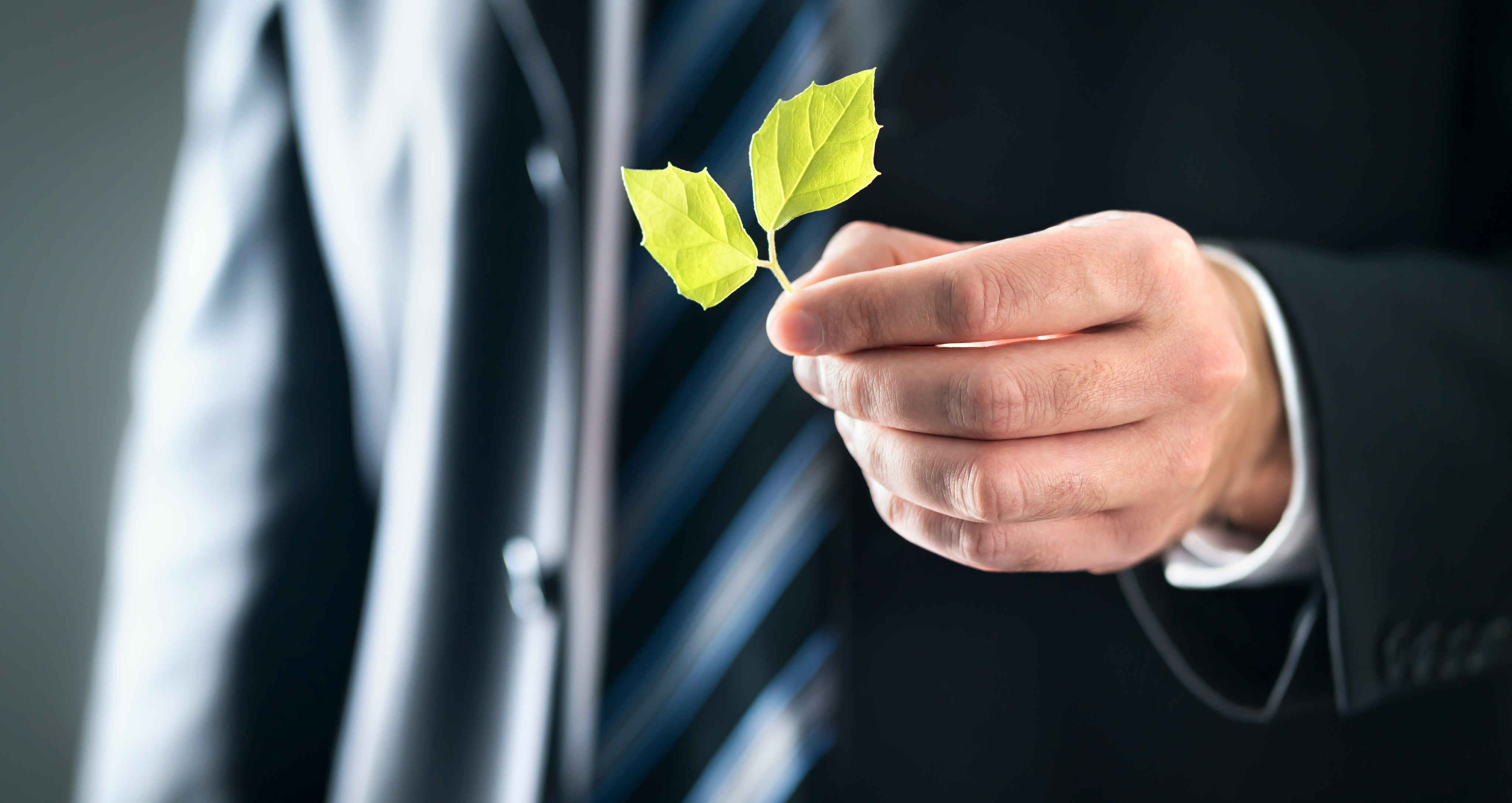 Companies and SDGs, together for a sustainable future