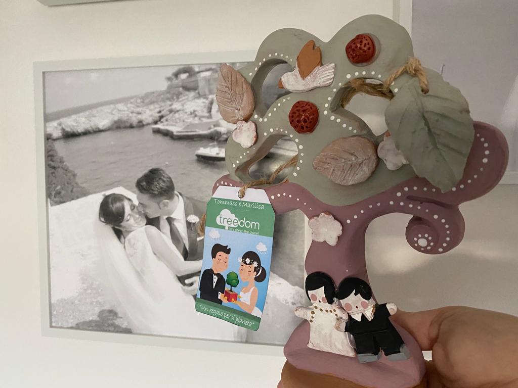 The most beautiful stories of our tree planters