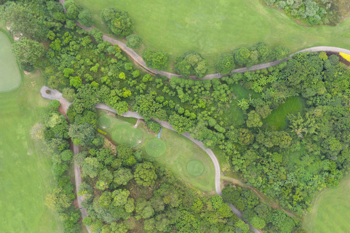 Diferencia entre aforestación, reforestación y deforestación ...